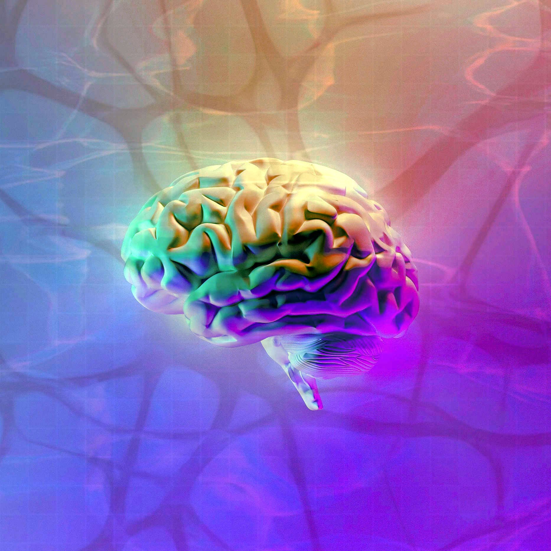 Zet je brein op een laag pitje voor je gaat lezen - Zwemles